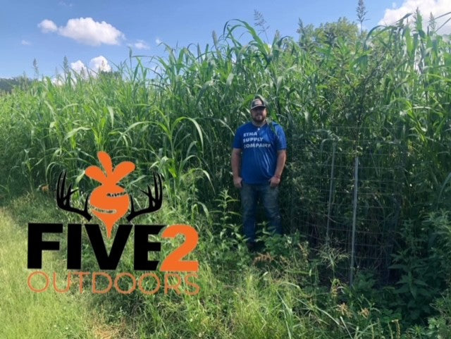 Planting Deer Food Plots Guide – Packer Maxx