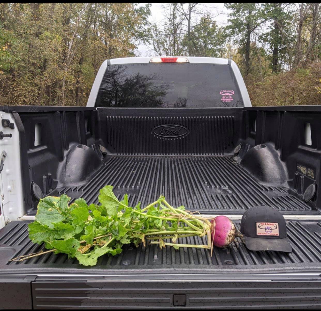 Just Bulbs – Packer Maxx