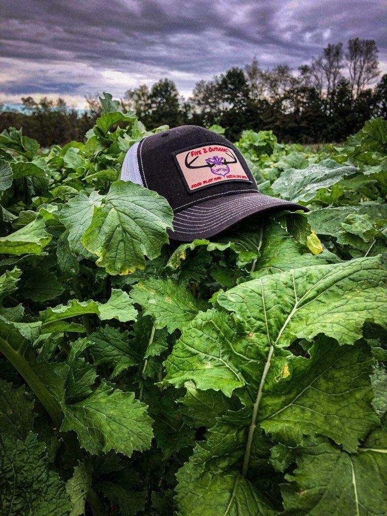 Best Deer Food Plot Mix for Fall – Packer Maxx